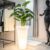 Light Up Planters | Decoration Garden LED Planter | Colorfuldeco