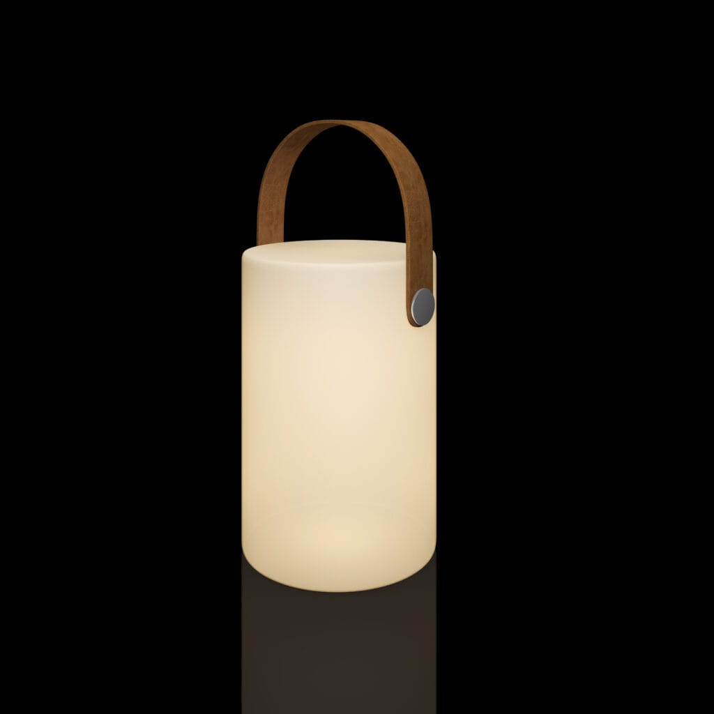 Portable Luminaire Lamp Issue Number Lookup