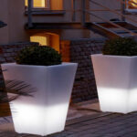 LED Plant Pots | Solar Illuminated Planters | Colorfuldeco
