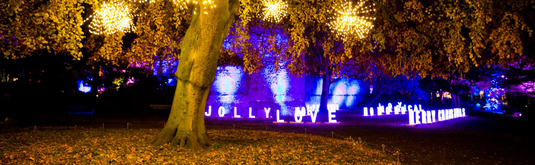 LED Letters Sign X | LED Lighted Letters | Colorfuldeco