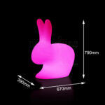 Animal Outdoor Garden Lights | Charming LED Rabbit Decor