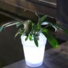 LED Flower Pots - Illuminate Your Garden with Style | Colorfuldeco